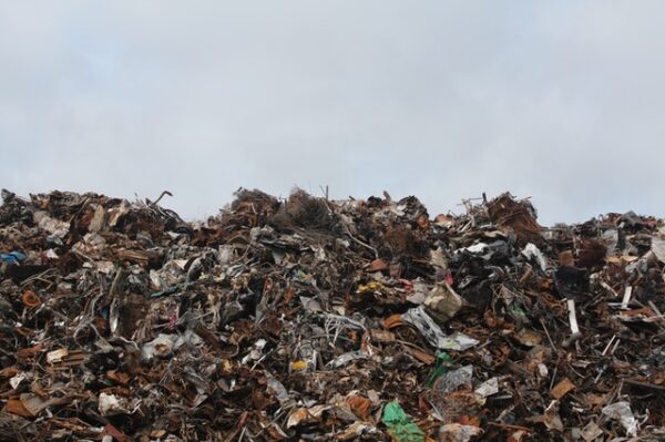 How to Dispose of Large Amounts of Trash During and After a Major ...